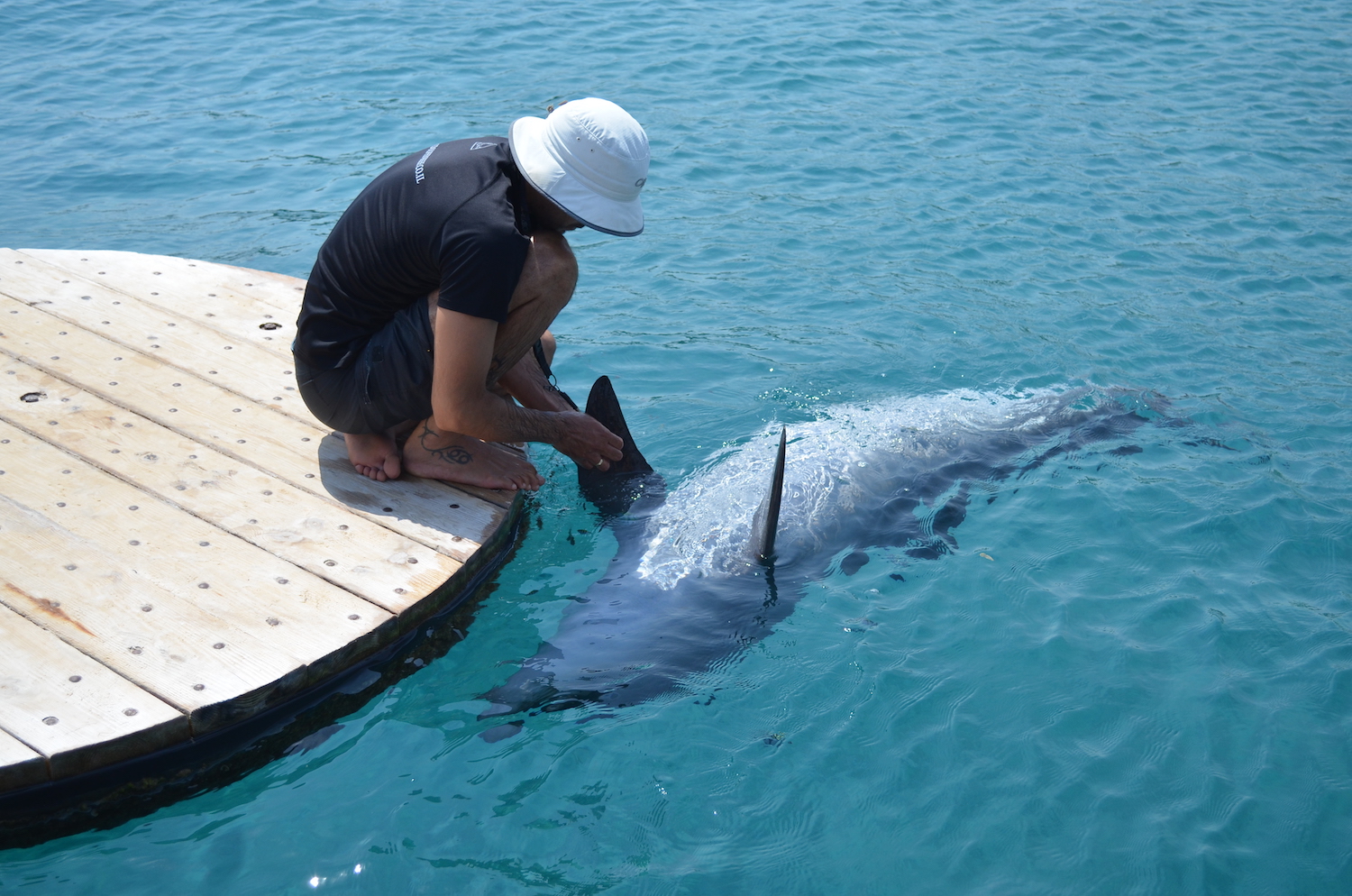 dfdfdfdf | がぅちゃんのブログ